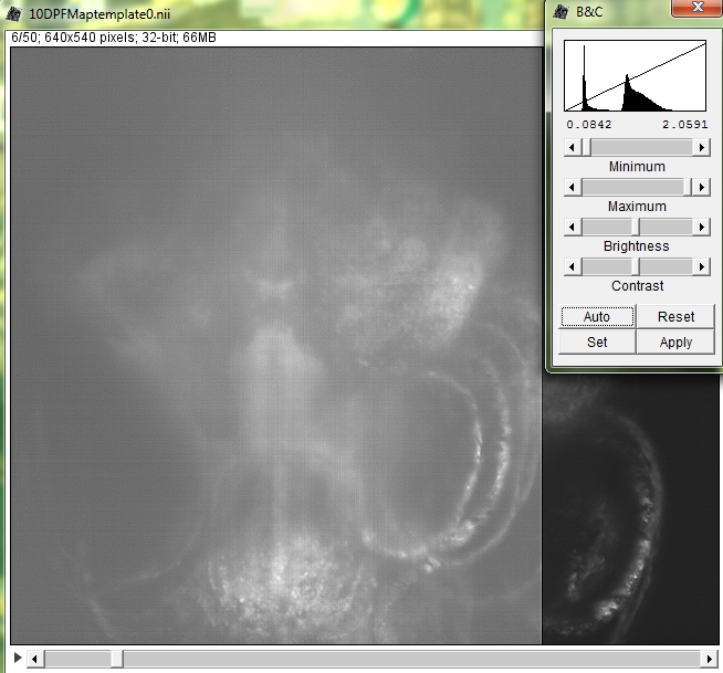Advanced Normalization Tools ( ANTs ) / Discussion / Help: Basic multimodal template ...