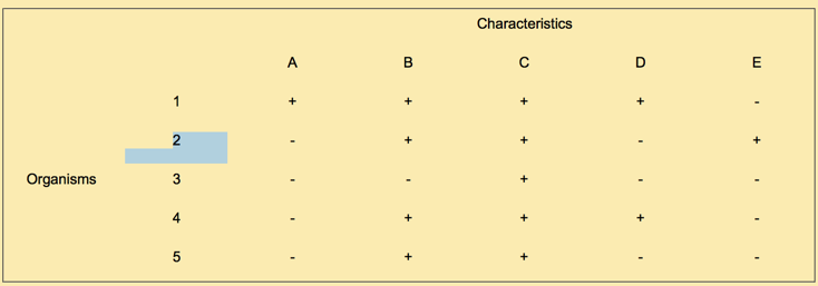 Solved The following character table was used to construct | Chegg.com