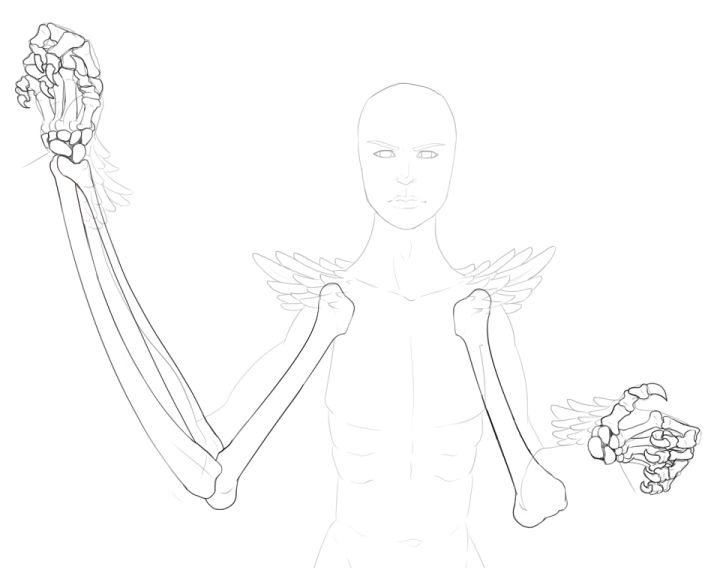 Drawing Help - Avian Arms : r/Anatomy