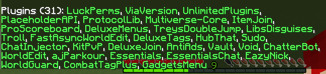 Unknown command /locate | SpigotMC - High Performance Minecraft Software
