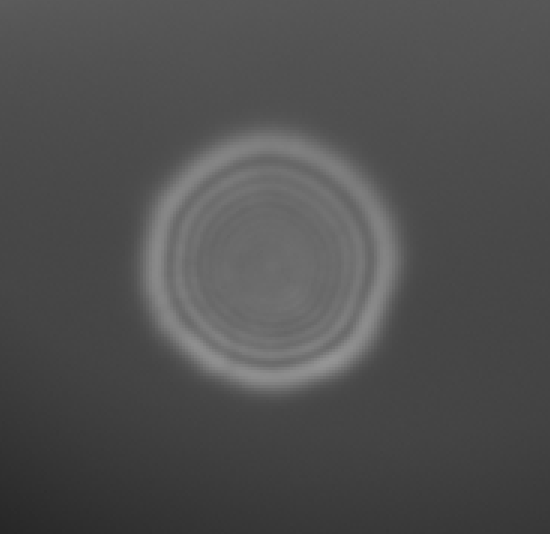 Off-Center Halo around stars - Beginning Deep Sky Imaging - Cloudy Nights