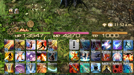 Expert WHMs out there, please show me a screenshot of your HUD layout ...