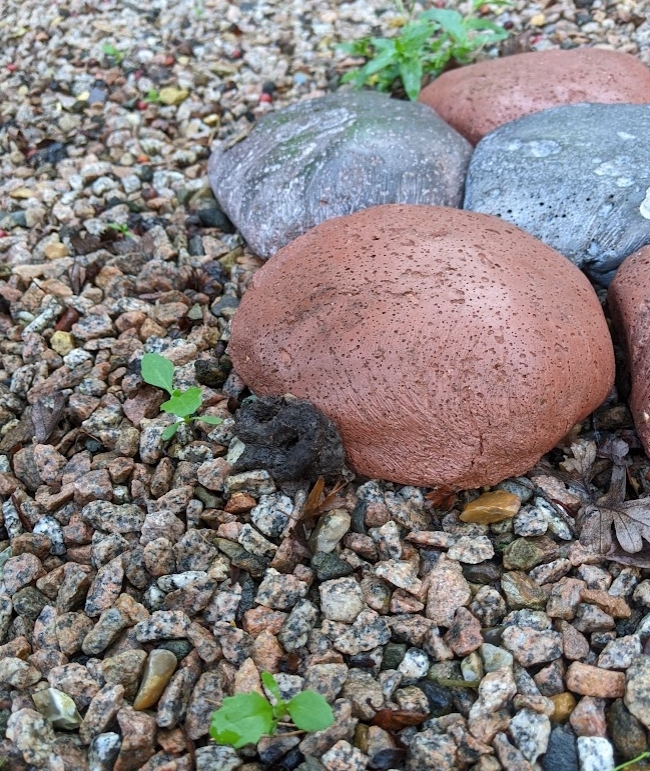 Identi-Poo (warning graphic poo images) | AVForums