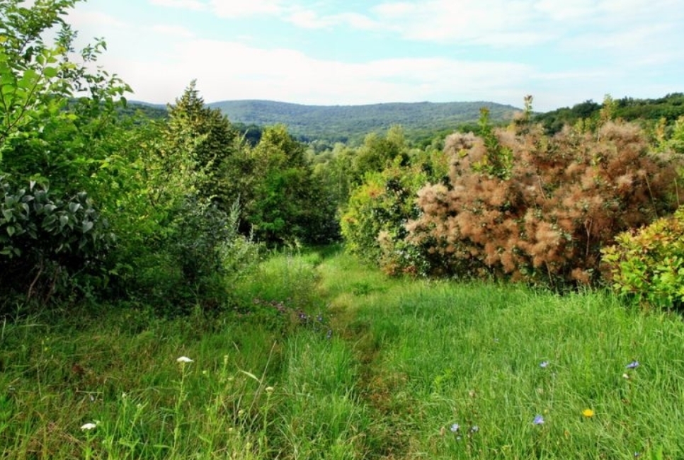 Rezervația științifică ''Codrii'' - Resurse Educaționale