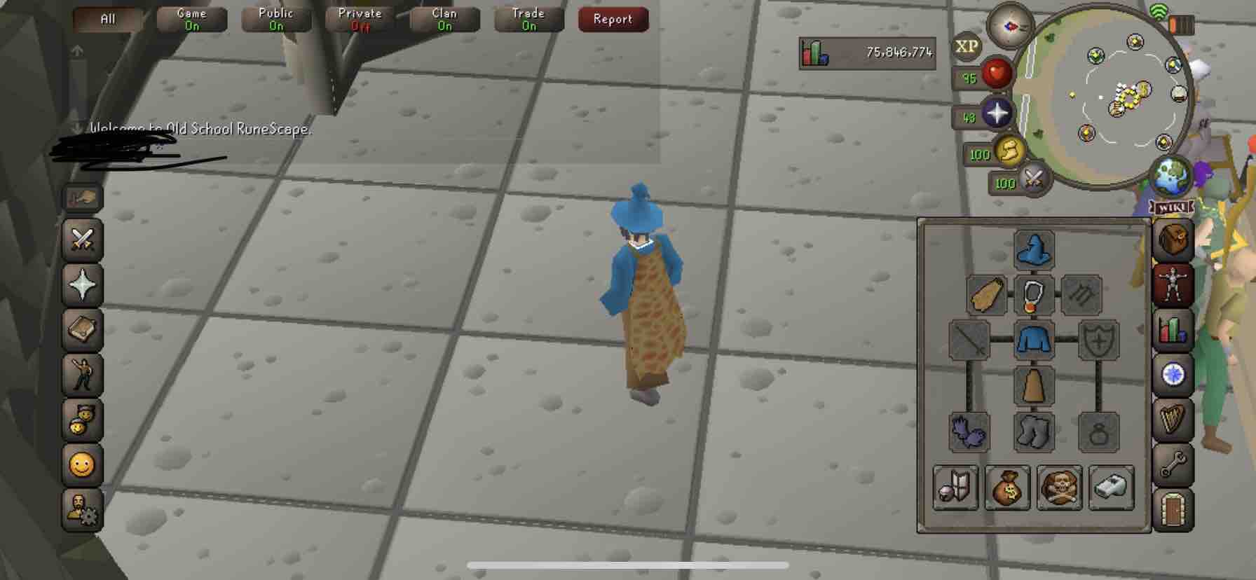 Maxed gmauler 99 str 99 range 99 mage fire cape ava's mith gloves etc ...