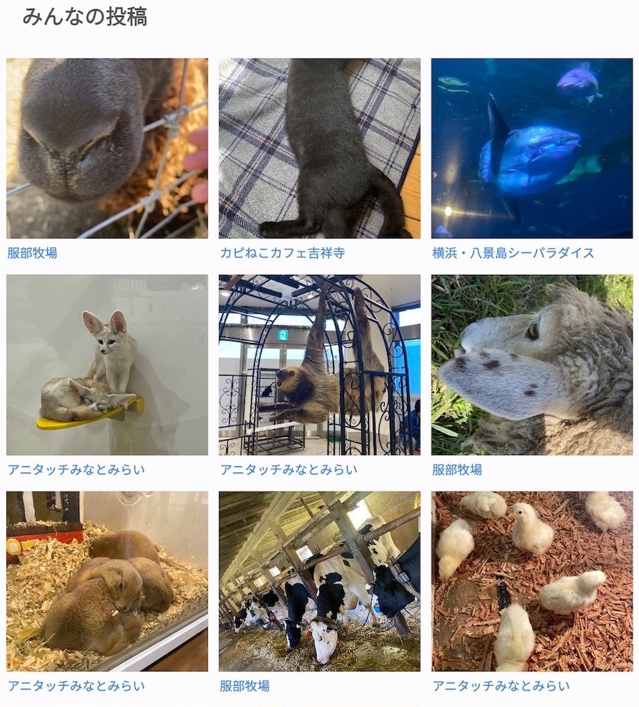 GitHub - kazuki1025okumura/fluff_navi