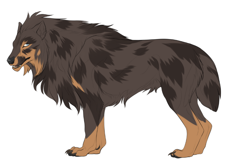 Design Guide: Merle by DesignDen on DeviantArt