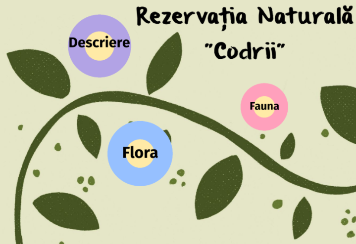 Rezervația științifică ''Codrii'' - Resurse Educaționale