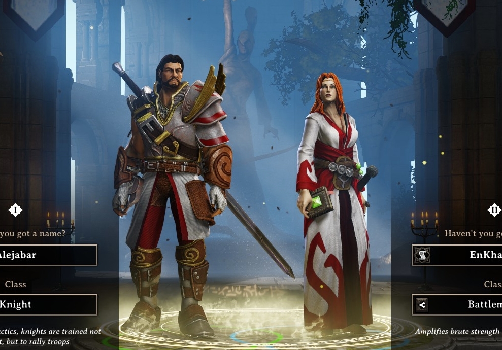 Baldurs Gate 3 Custom Character Models And Npc Quality I Hope To See