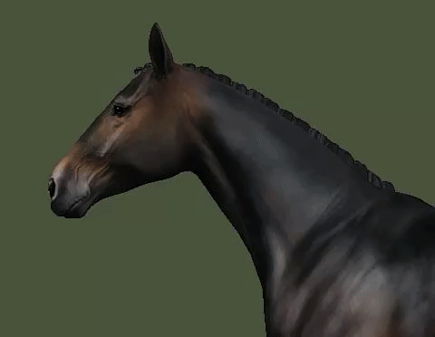 @rembrandtdesigns on Tumblr