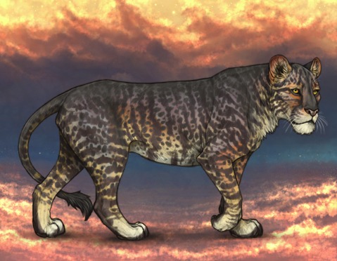 🦁 10m Fossil Colorbomb Felis 🦁 :|: Lioden