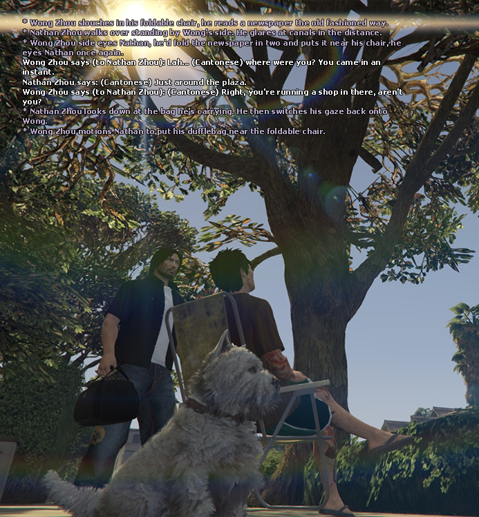 Hoy Ping Association 華青 - Page 102 - Unofficial Factions Archive - GTA ...