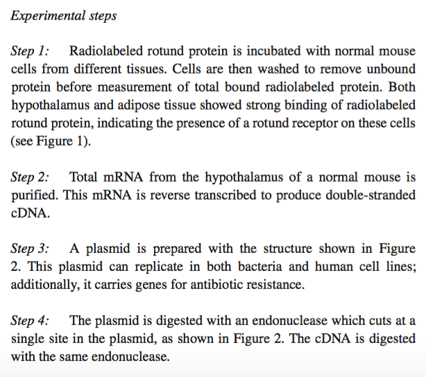 Cell Transfection : r/Mcat