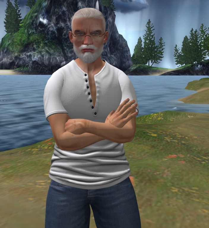 Looking for a custom skin/shape for male avatar - Wanted - Second Life ...