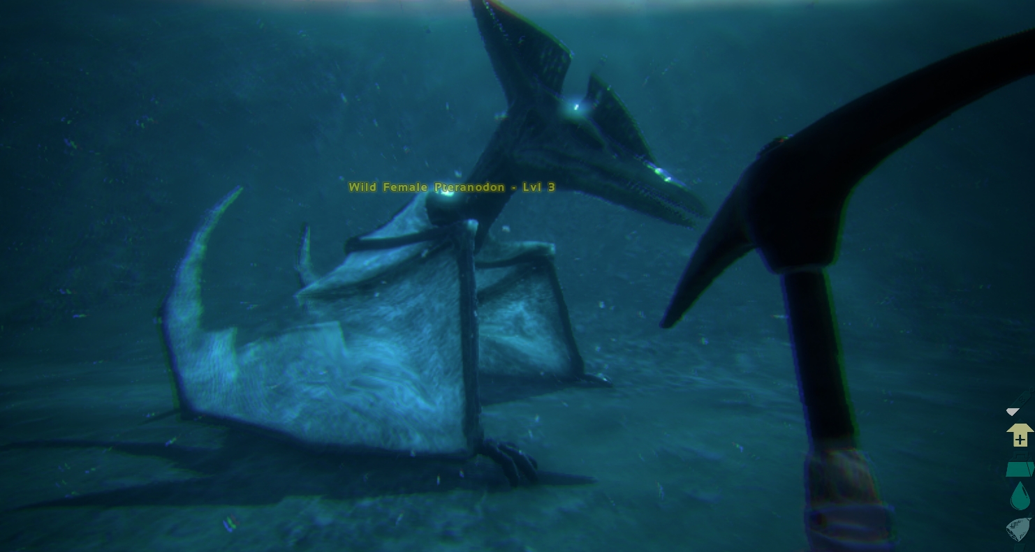 spawn bug :: ARK: Survival Evolved General Discussions