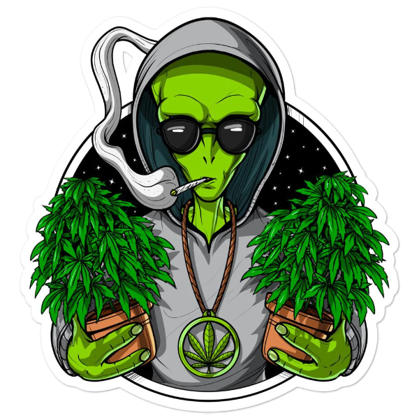 Official GBS chat thread - The Something Awful Forums
