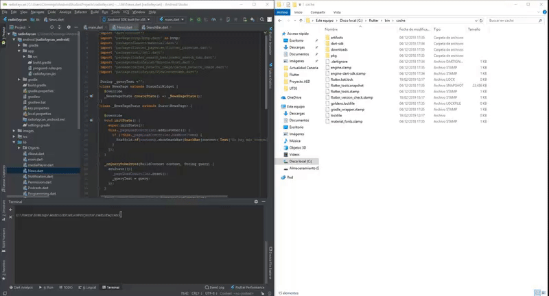Android Flutter Waiting For Another Flutter Commando To Release The Startup Lock Stack Overflow