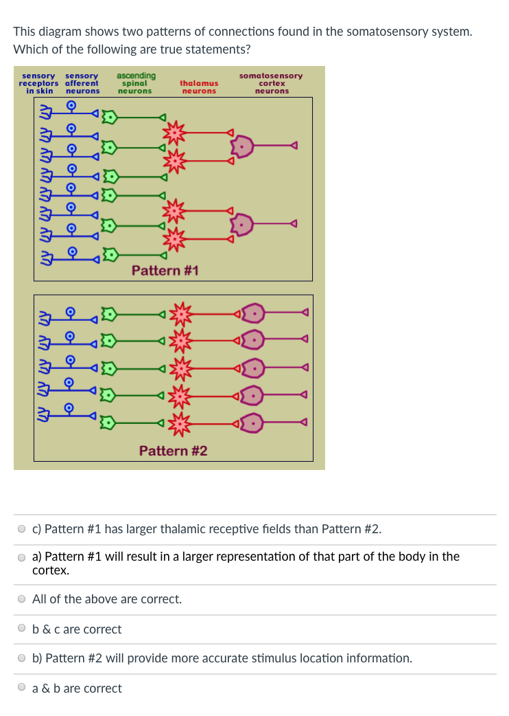 Solved This diagram shows two patterns of connections found | Chegg.com