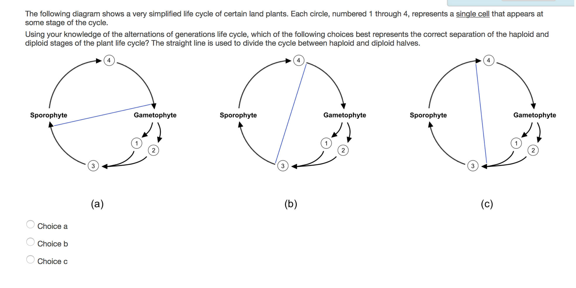 Solved The following diagram shows a very simplified life | Chegg.com