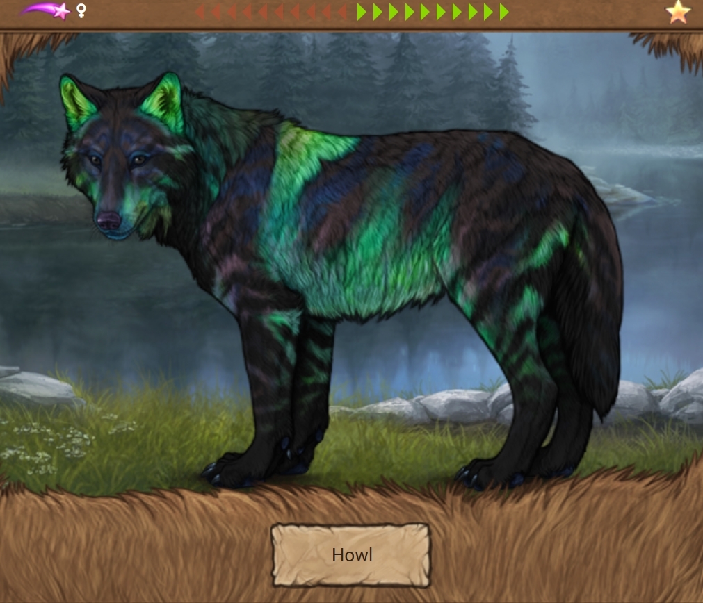 Chased Wolf Spotting - Revamped |:| Wolvden