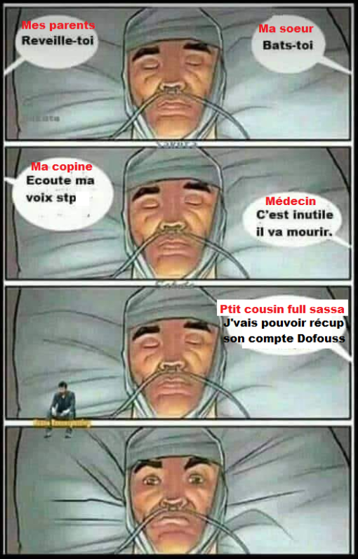 [MEMES] Venez partager vos meilleures memes sur dofus ! - Forum - DOFUS ...