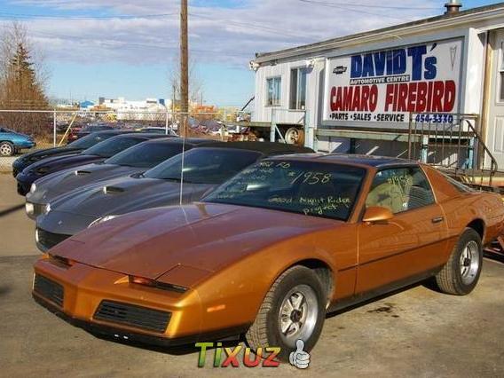 Chrome details around window 82 Firebird | Firebird Nation