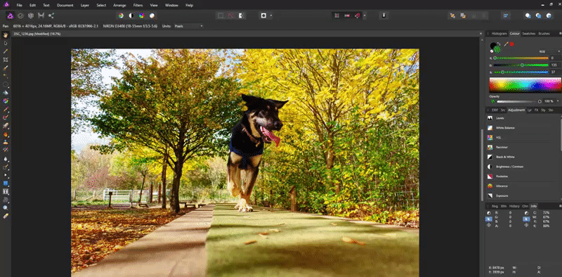 studio panels - Pre-V2 Archive of Desktop Questions (macOS and Windows ...