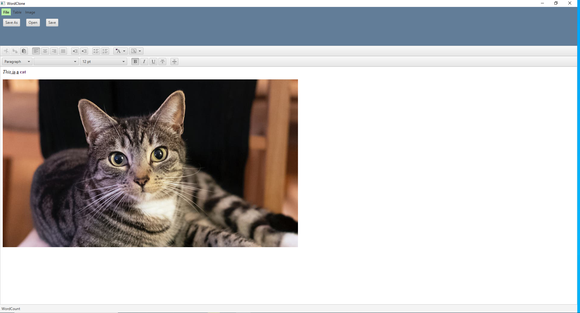 GitHub - HarryCS98/WordClone: A Microsoft Word clone made in java using ...