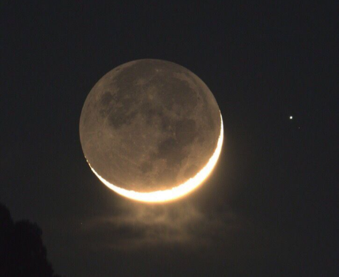 [DnD] Thorn on Toyhouse