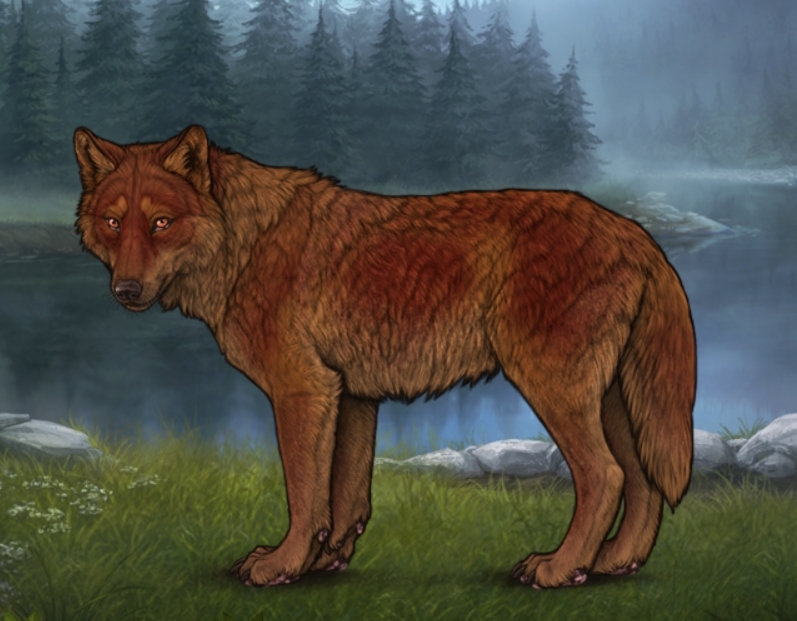 🐺🥔 [Wolves and Potato Flat Sales!] (Open) |:| Wolvden