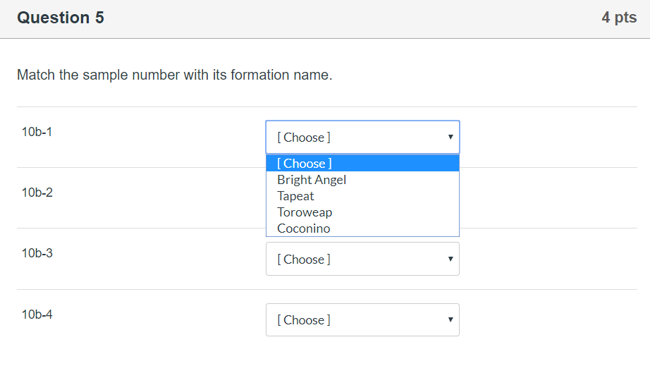 Solved Question 1 2 pts Using the photographs of the four | Chegg.com