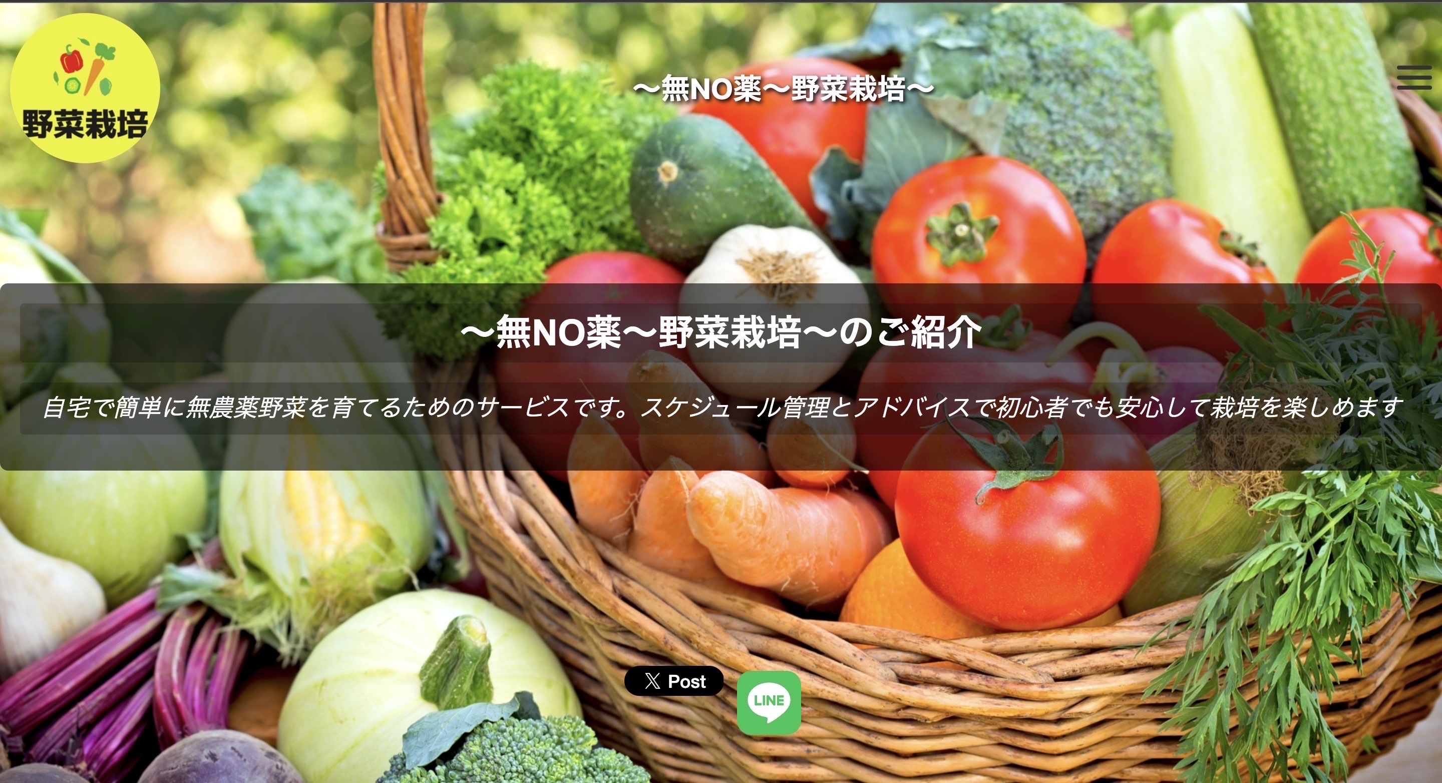 GitHub - daikimatsumoto0731/vegetable_service