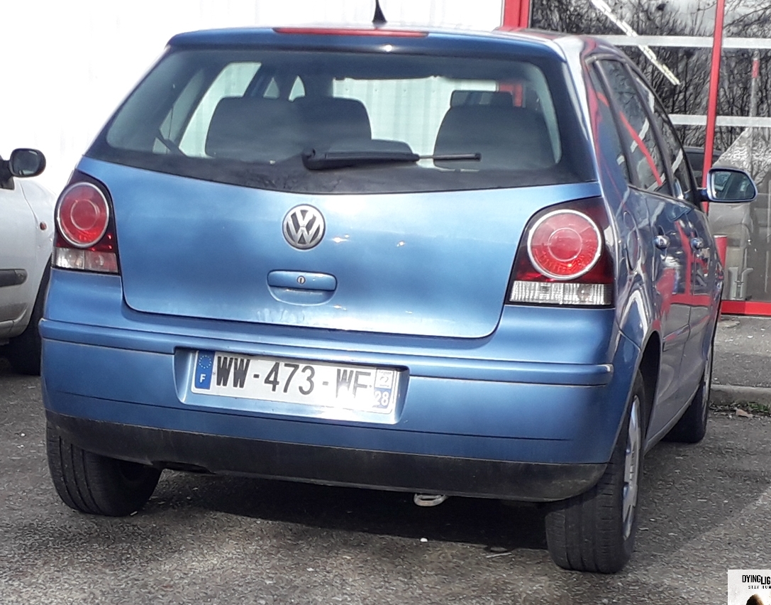 Provisional License Plates [WW]