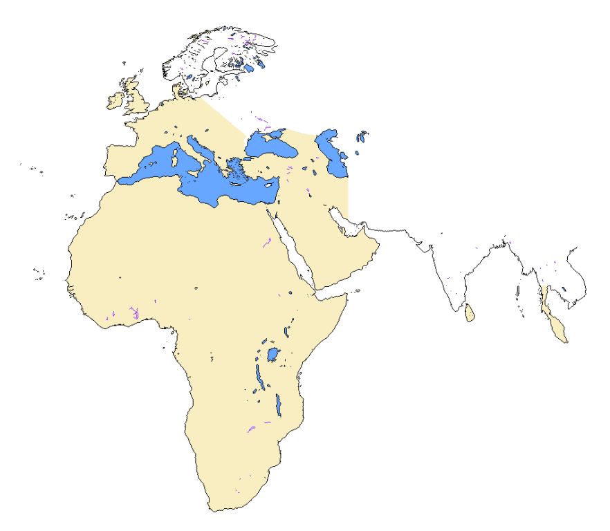 The Quar2.0-BAM Thread | alternatehistory.com