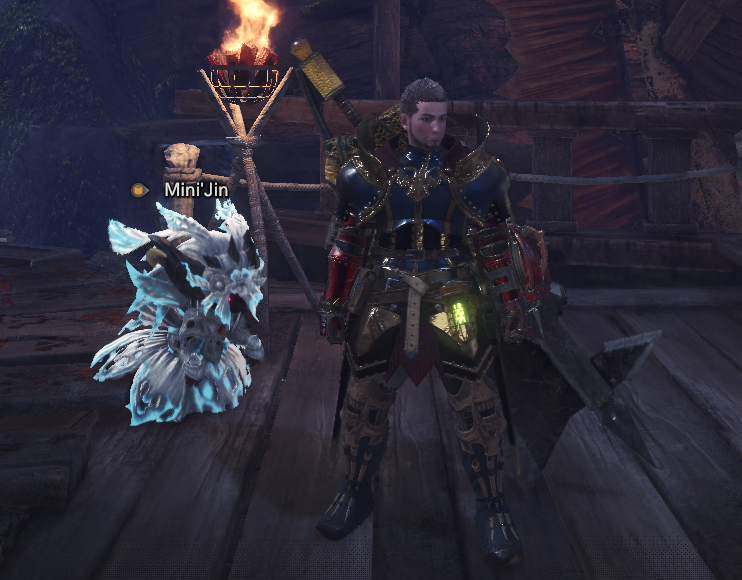 For fun: Show pictures of your char + pets! : r/MonsterHunterWorld