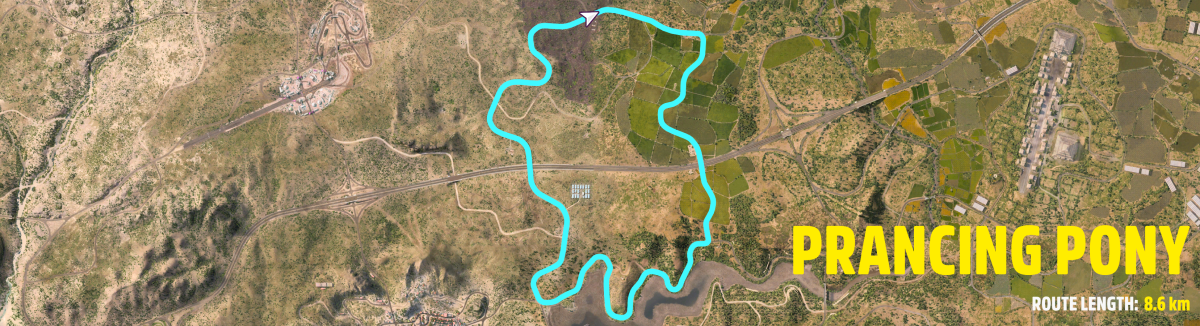 Exchange of custom road racing routes : ForzaHorizon