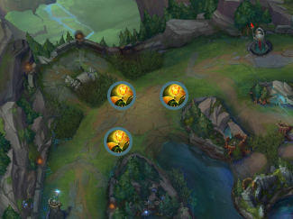Teemo Mushroom Spots