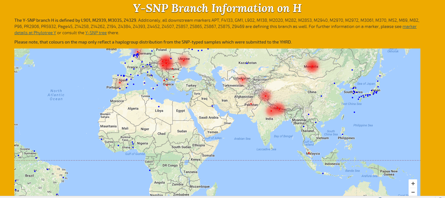Y DNA - Haplgroup H coverage in South Asia and around the world | Genoplot