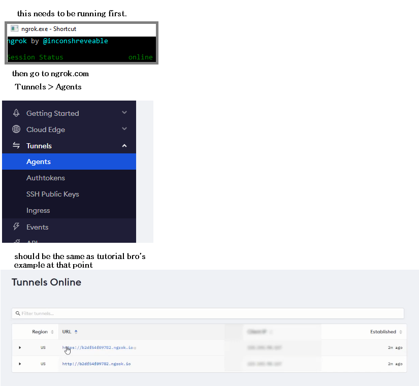 Using Ngrok to self host on campus Wifi, HELP! : r/FoundryVTT