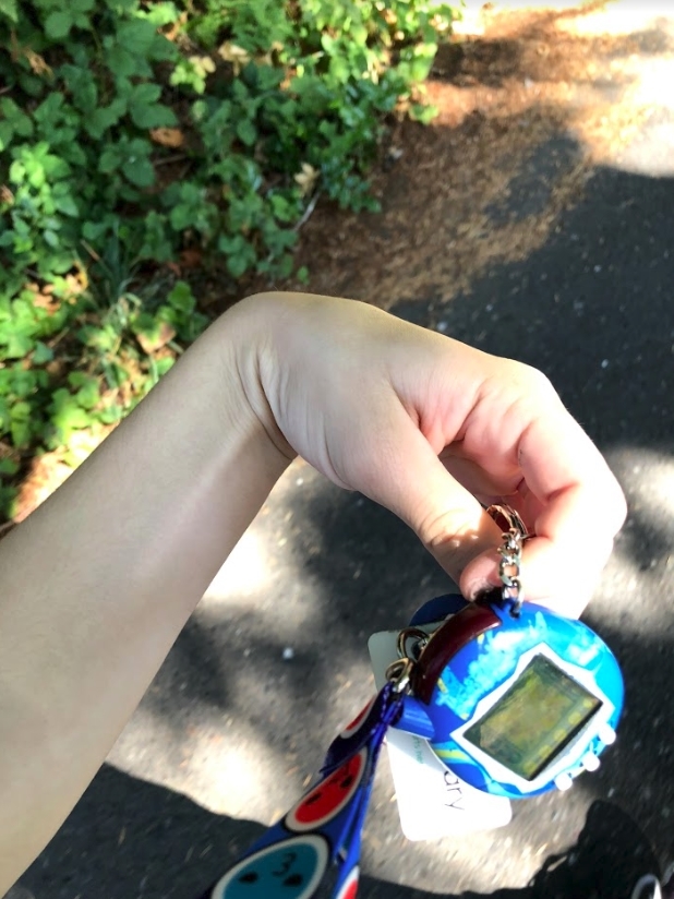 Connective Tissue – Photoblog – AP Biology