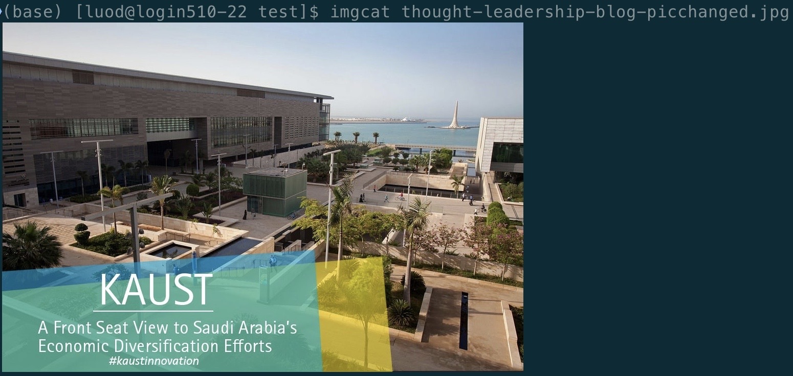 GitHub - RodenLuo/Moving_to_IBEX