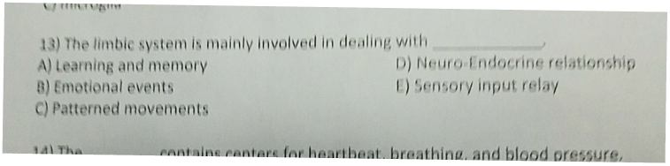 Solved 13) The limbie system is mainly involved in dealing | Chegg.com