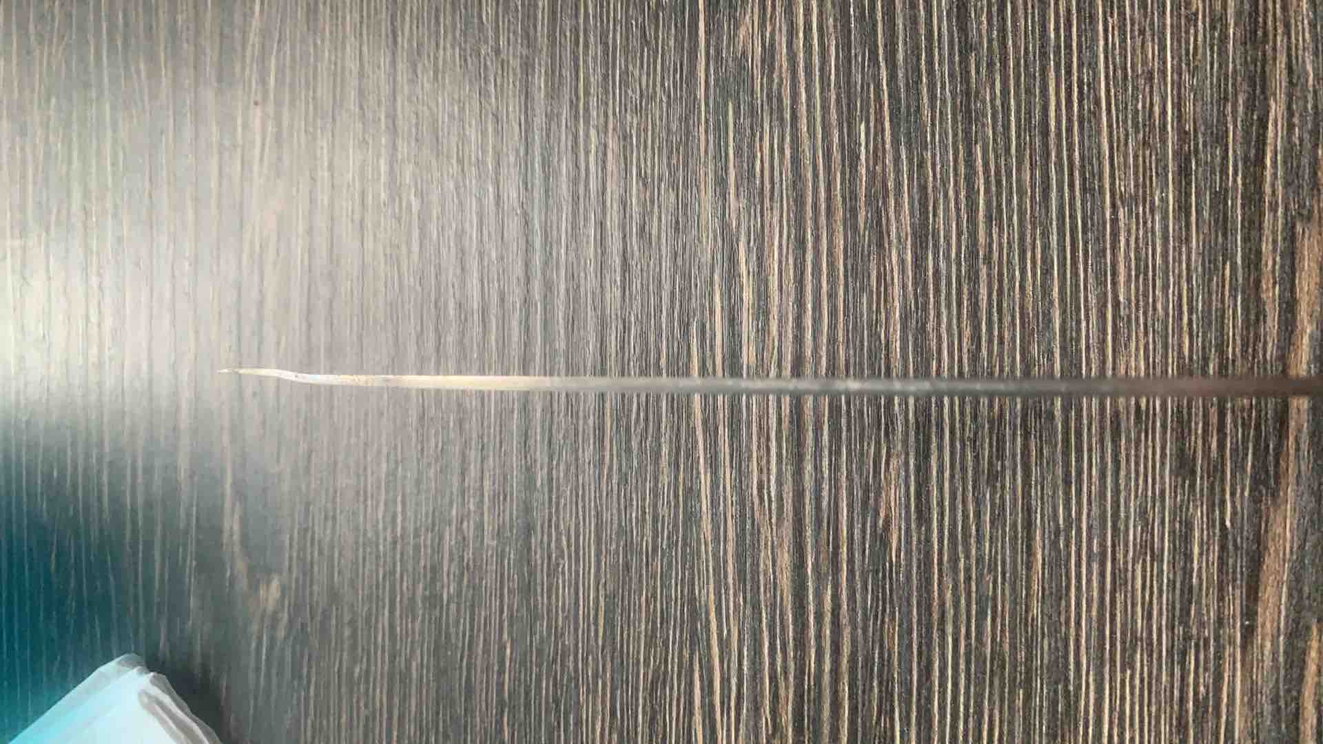 Repairable or Lost? Novice at Sharpening, : r/chefknives