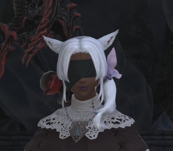 Saw a photo opportunity and took it : r/ffxiv