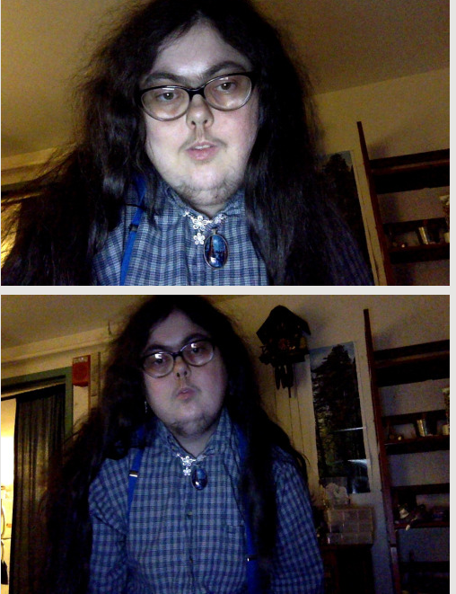 Amanda/Amelia Baggs / witharoundsmoothstone / ballastexistenz | Kiwi Farms