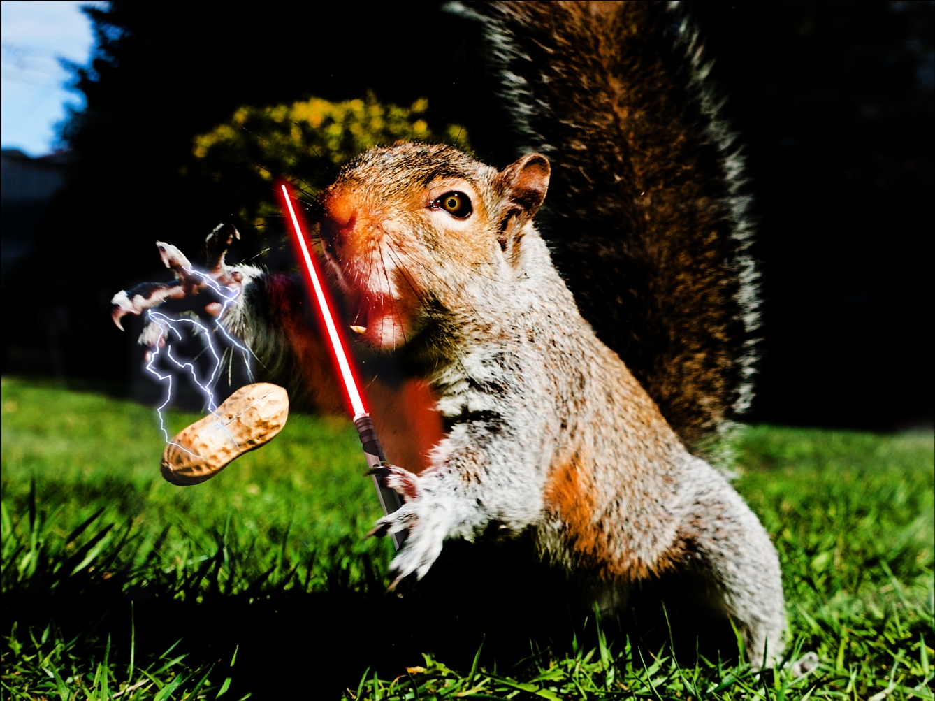 PsBattle: This squirrel trying to catch a peanut : r/photoshopbattles