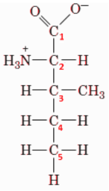 Solved HCHH 1 2 3 5 C-C-C-C-C-H | Chegg.com