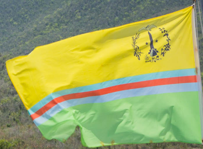 Need help identifying this one; found in Saint-Martin, a French colony ...