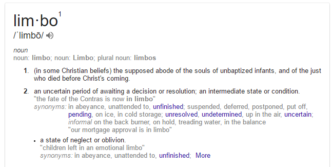 is the limbo based off the game, or is it just a universal term ...