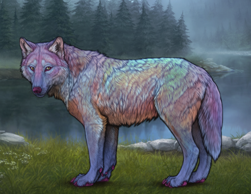 LF: Turquoise Wolf |:| Wolvden
